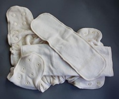 Doable Diapers: Doable Details: Doopsy Bamboo Velour Fitted Diaper